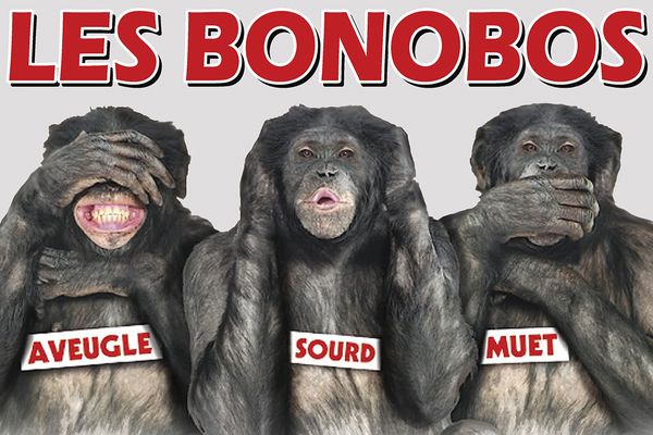"Les Bonobos" de Laurent Baffie - Namur - Namur - Namur - Humour ...